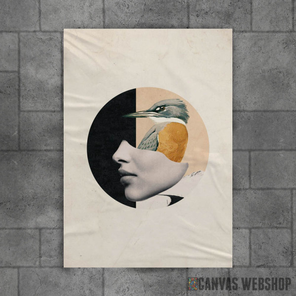 Kolaž devojka i ptica - klasičan poster