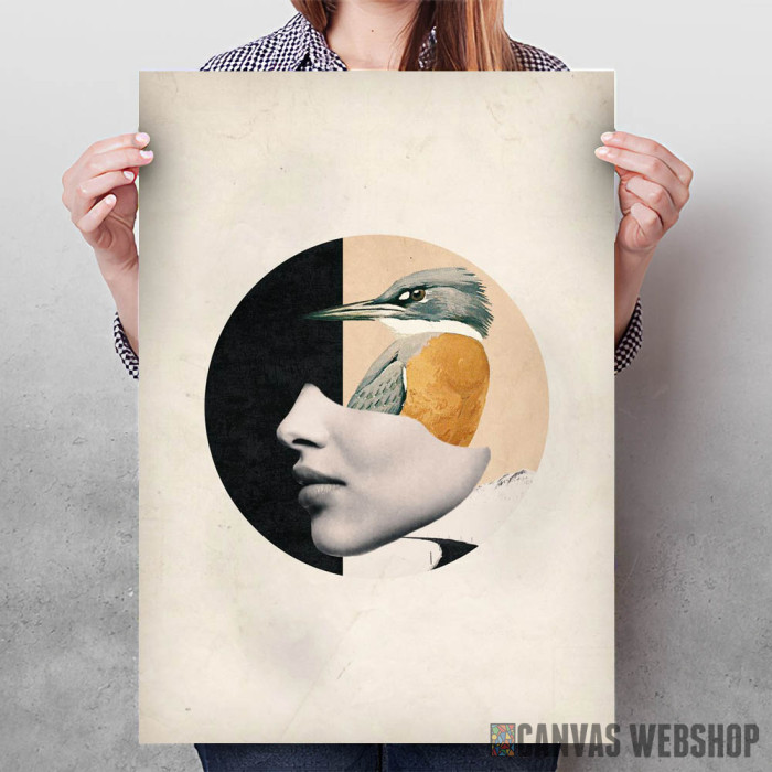 Kolaž devojka i ptica - klasičan poster