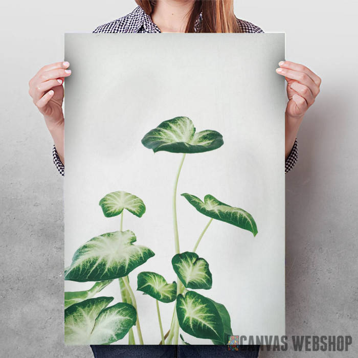 Listovi - klasičan poster