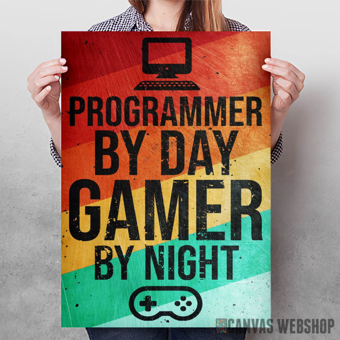 Programmer and Gamer - klasičan poster