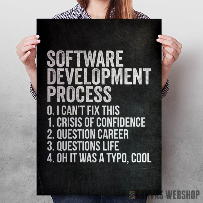 Software Development - klasičan poster