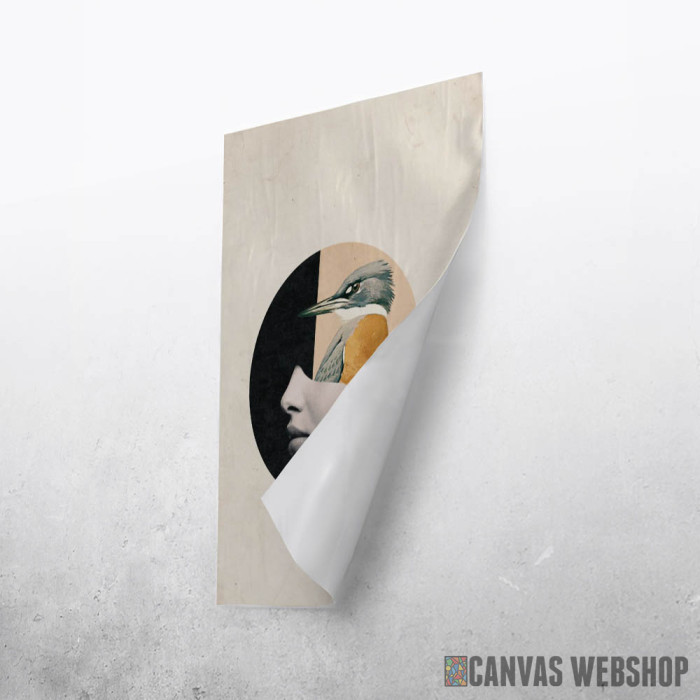 Kolaž devojka i ptica - klasičan poster