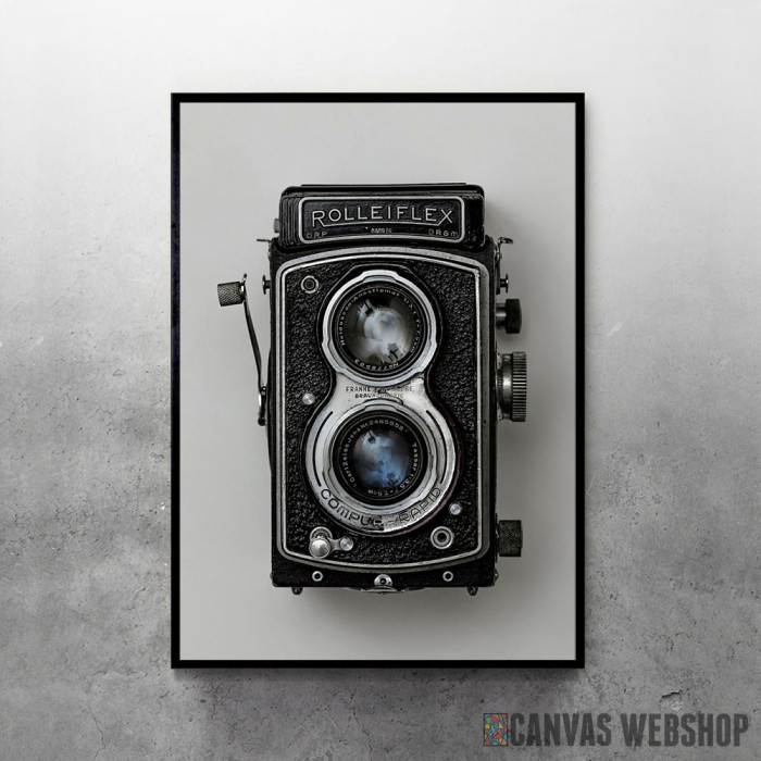 Retro camera - uramljen poster
