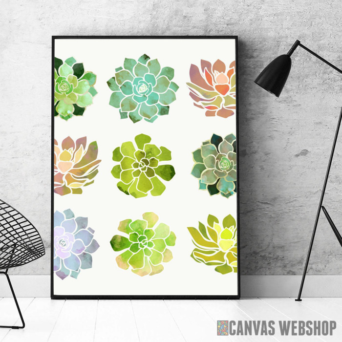 Spring Succulents - uramljen poster