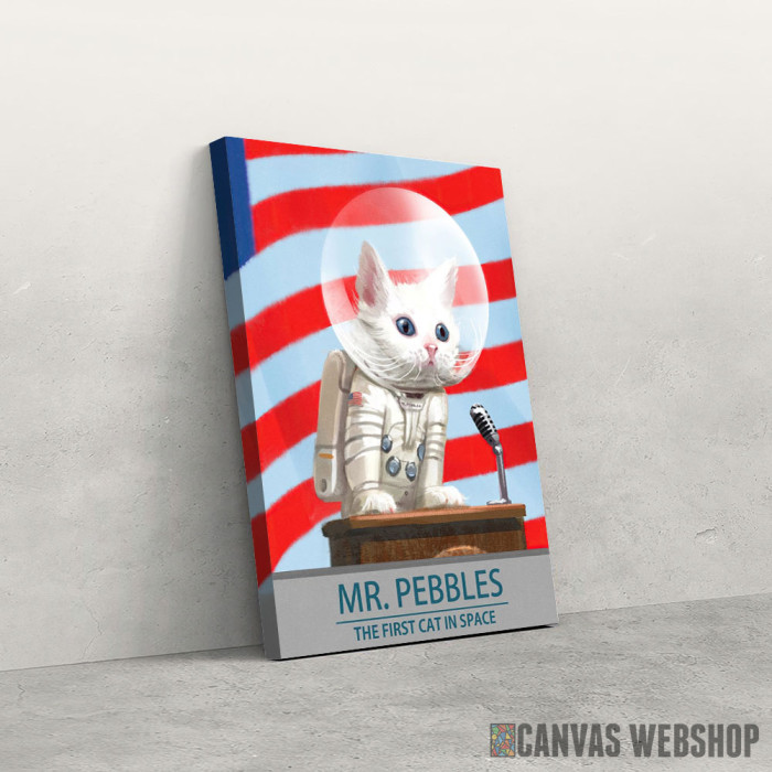 Fallout Mr Pebbles - slika na platnu