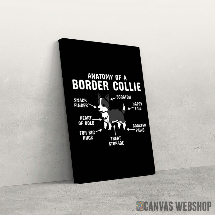 Anatomy Of A Border Collie - slika na platnu