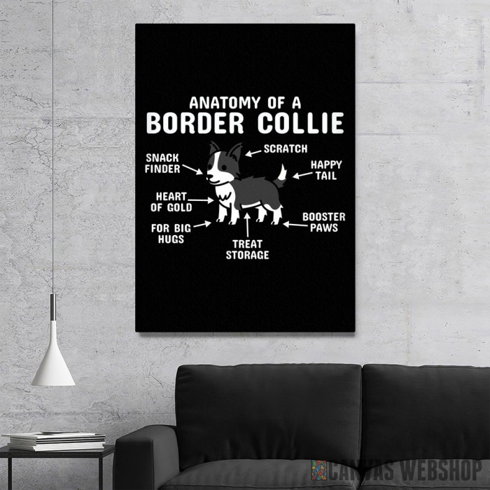 Anatomy Of A Border Collie - slika na platnu